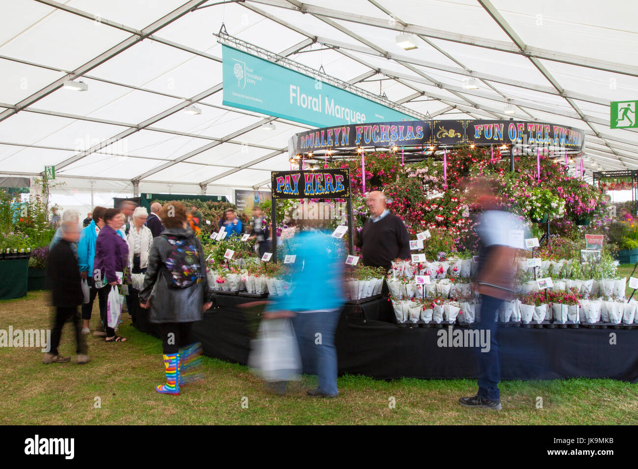 Exhibitors displaying plants hi-res stock photography and images - Alamy