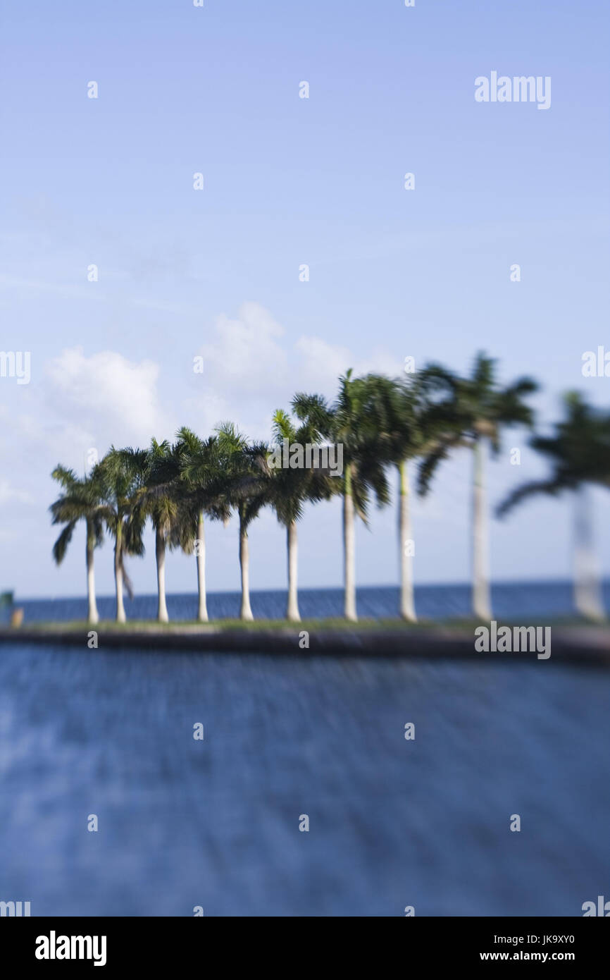 USA, Florida, Miami, Cutler Ridge, Deering Estate, Landzunge, Palmen ...