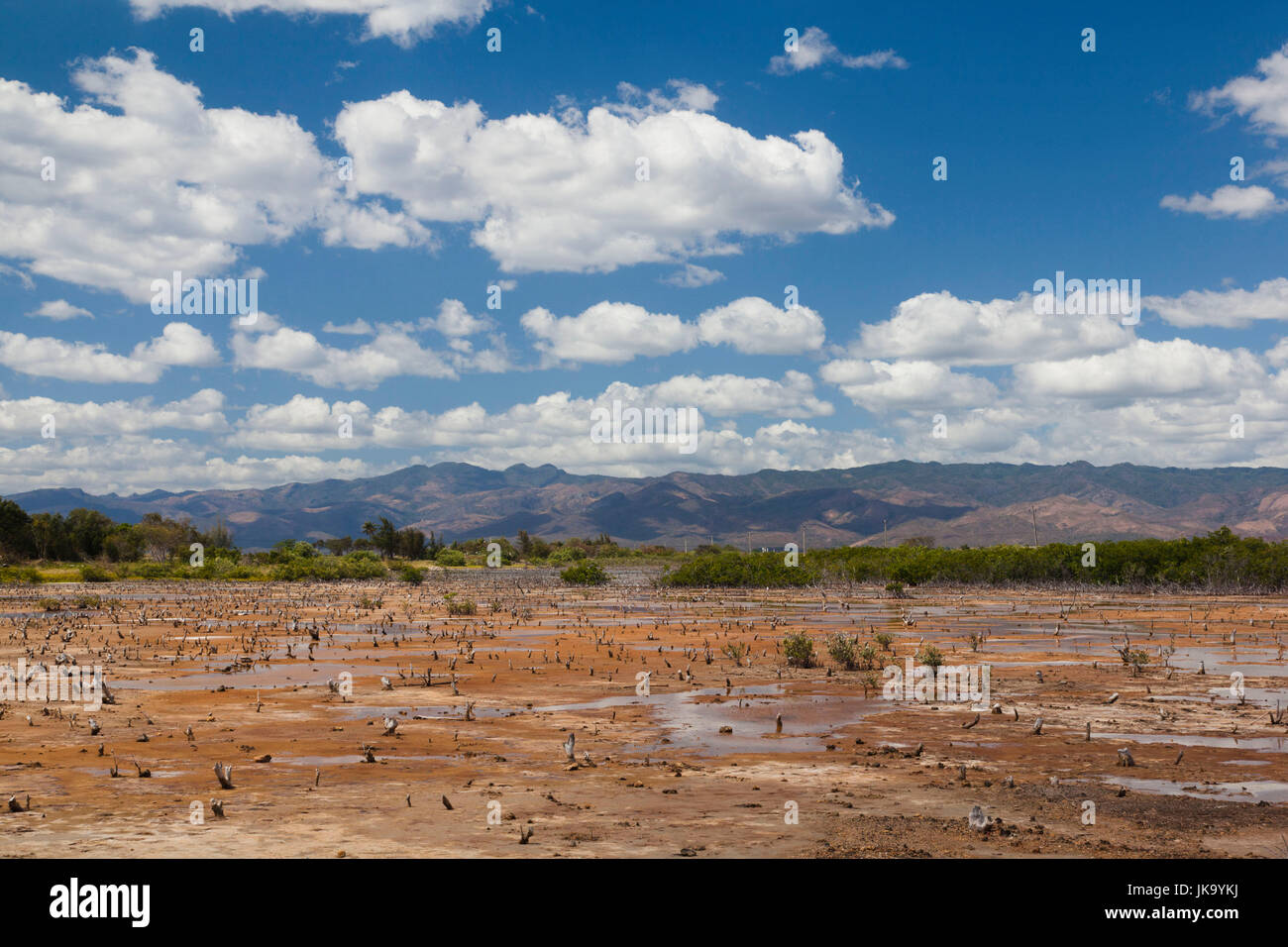 Cuba marsh hi-res stock photography and images - Alamy