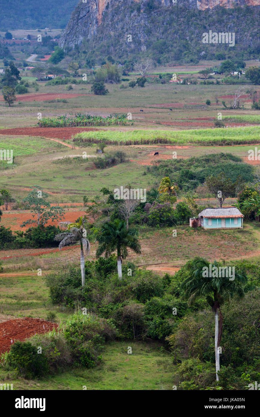 Cuba, Pinar del Rio Province, Vinales, Vinales Valley, elevated view ...
