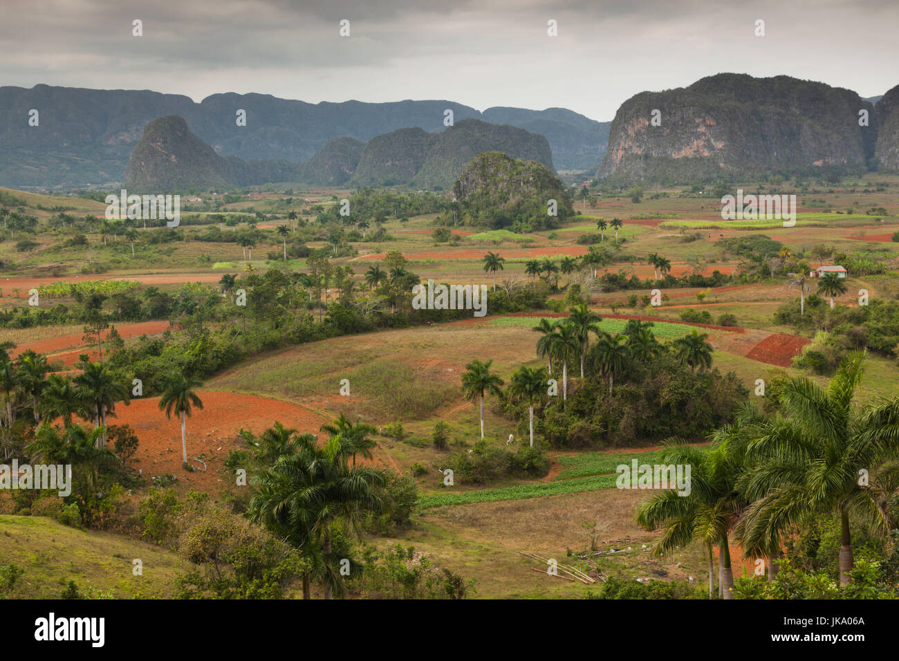 Cuba, Pinar del Rio Province, Vinales, Vinales Valley, elevated view ...