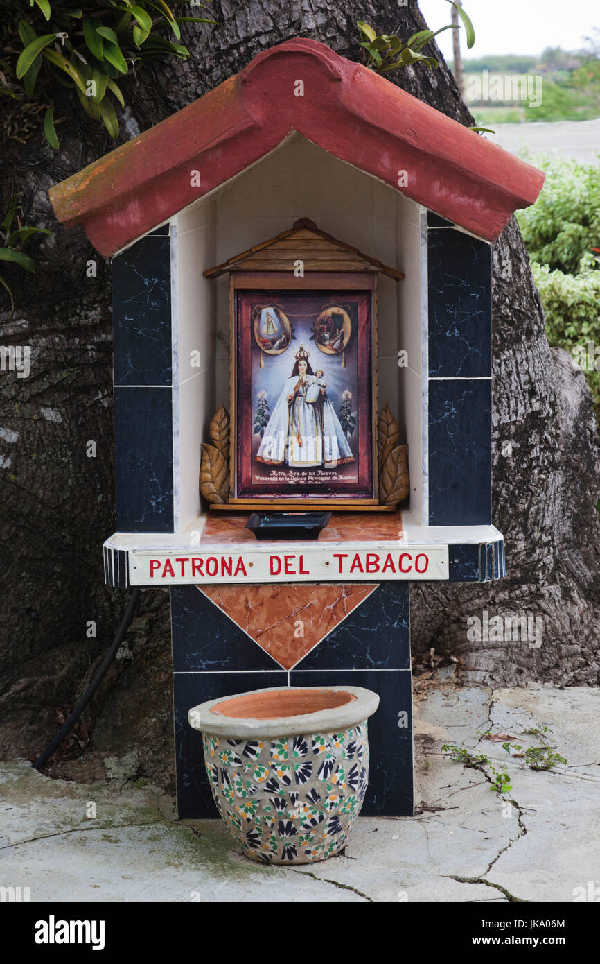 Cuba, Pinar del Rio Province, San Luis, Alejandro Robaina Tobacco ...