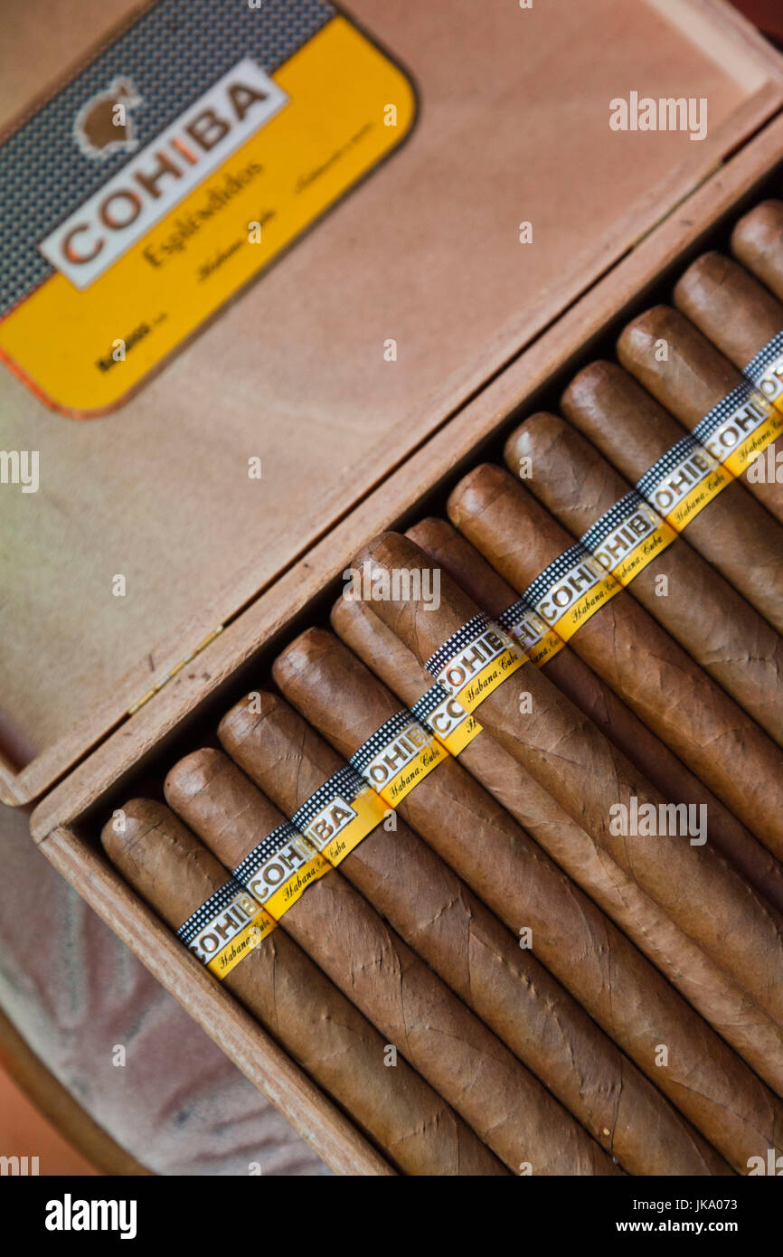 Cuba, Pinar del Rio Province, Pinar del Rio, Cuban Cigars at the Casa ...