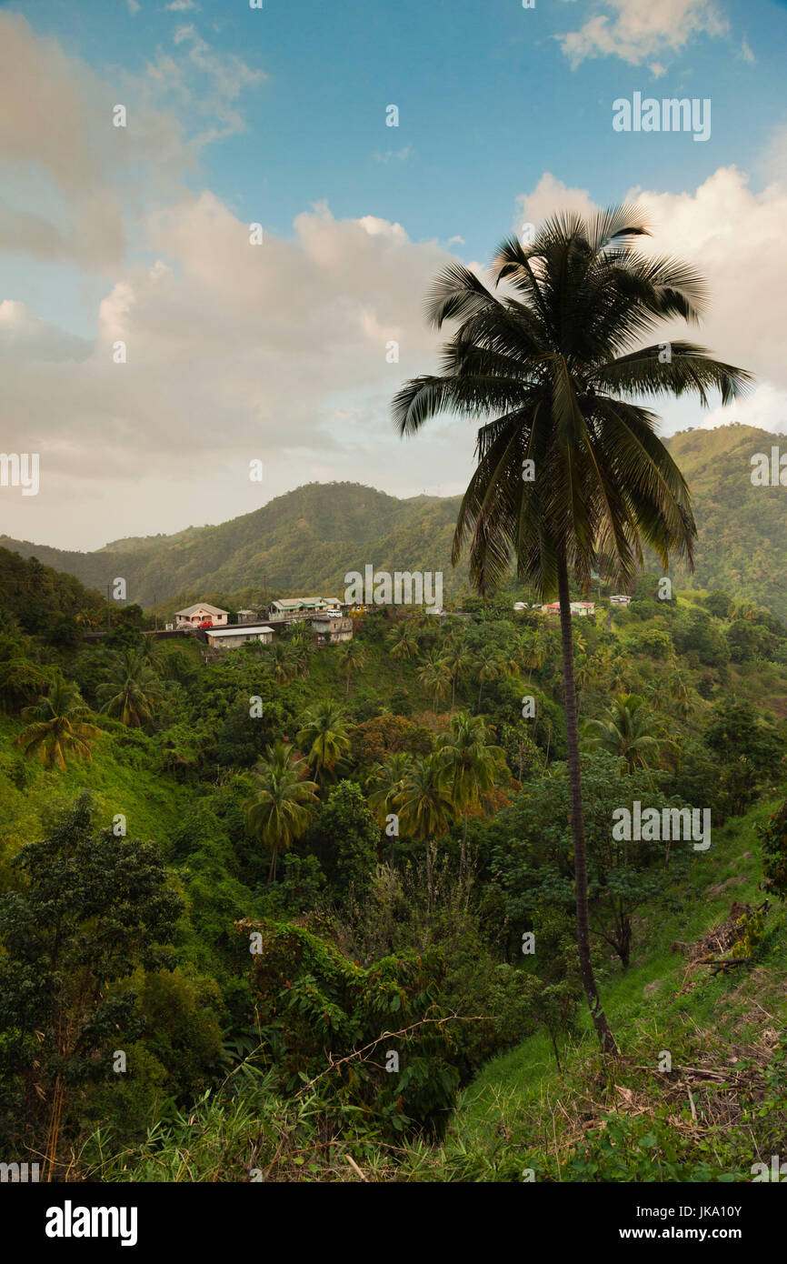 St. Vincent and the Grenadines, St. Vincent, Leeward Coast, Spring ...
