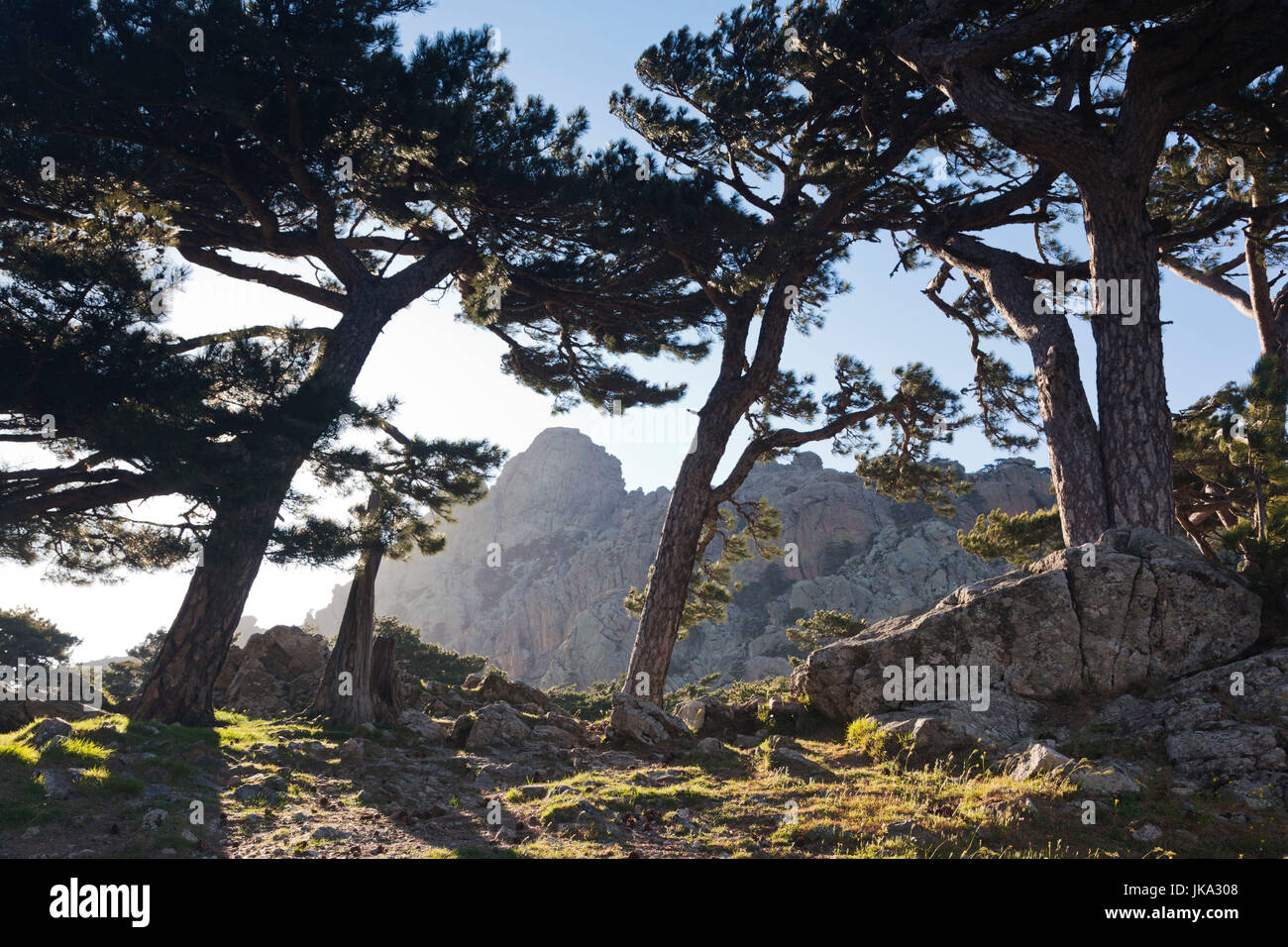France, Corsica, Corse-du-Sud Department, La Alta Rocca Region, Col de ...