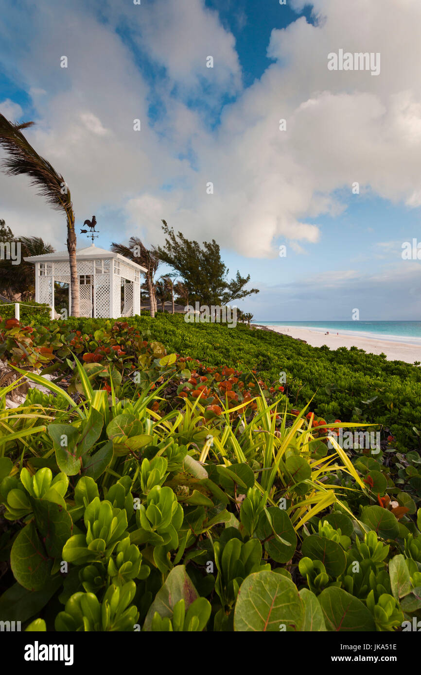 Bahamas, Eleuthera Island, Harbour Island, Pink Sands Beach, morning ...