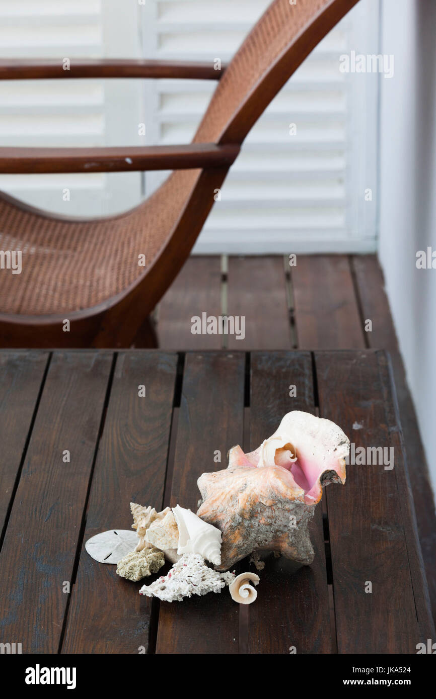 Pink Conch High Resolution Stock Photography and Images - Alamy