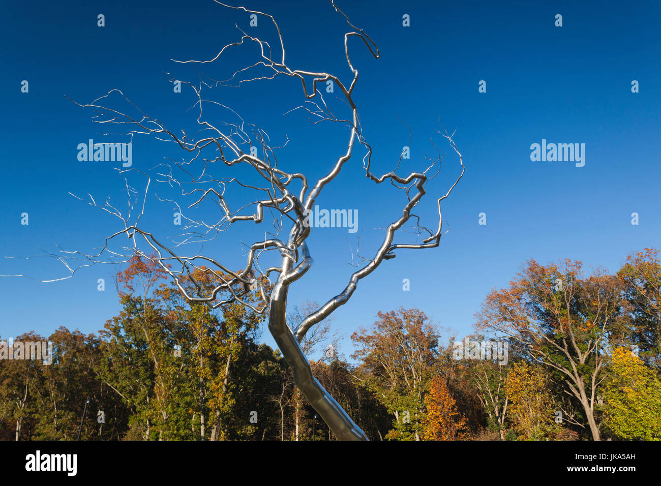 Chrome tree sculpture by entrance hi-res stock photography and images ...
