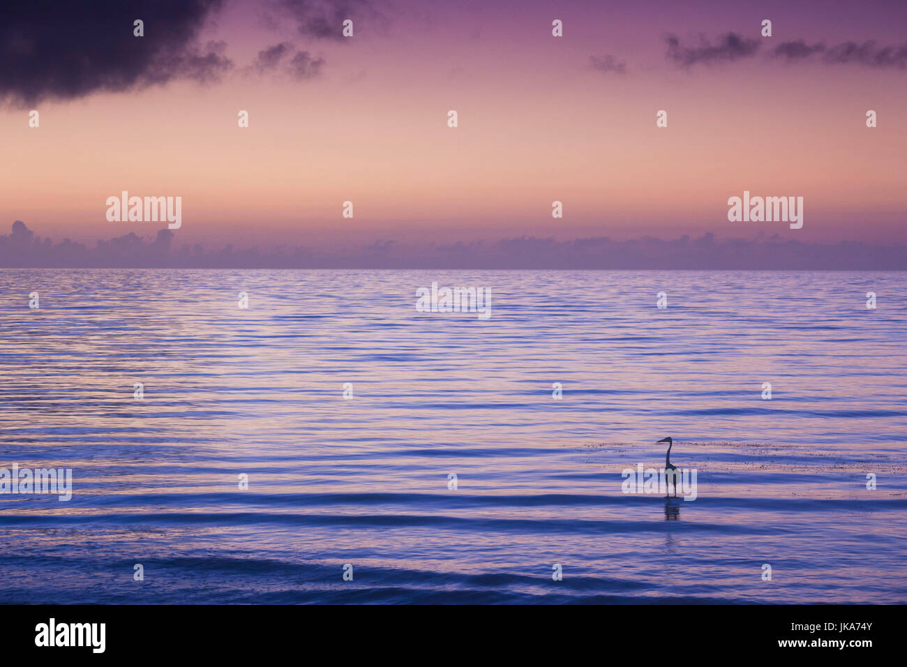 USA, Florida, Florida Keys, Key West, Higgs Beach, dawn Stock Photo - Alamy