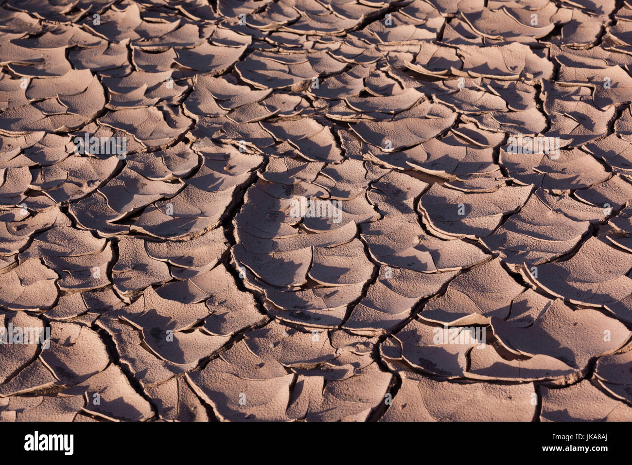 Dried mud desert hi-res stock photography and images - Alamy