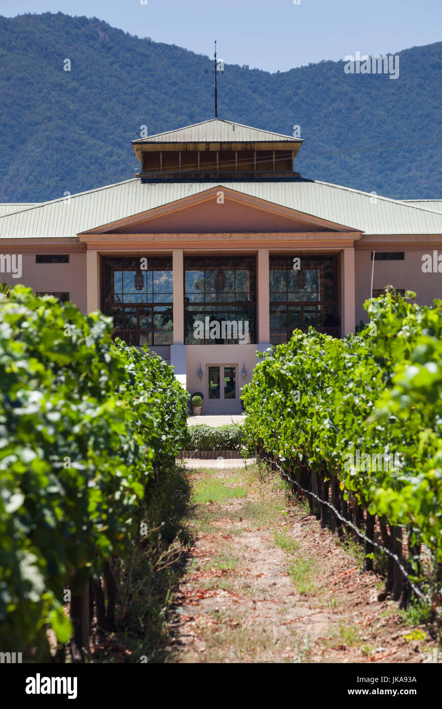 Winery Chile High Resolution Stock Photography and Images - Alamy