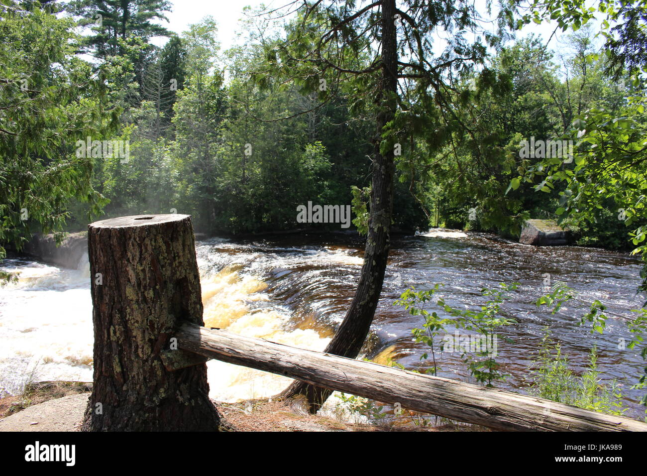 Tree stump by a waterfall Stock Photo - Alamy