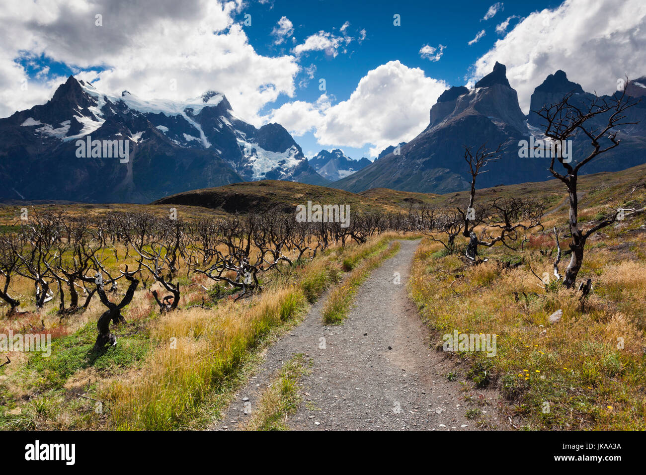 Chile, Magallanes Region, Torres del Paine National Park, Mirador ...
