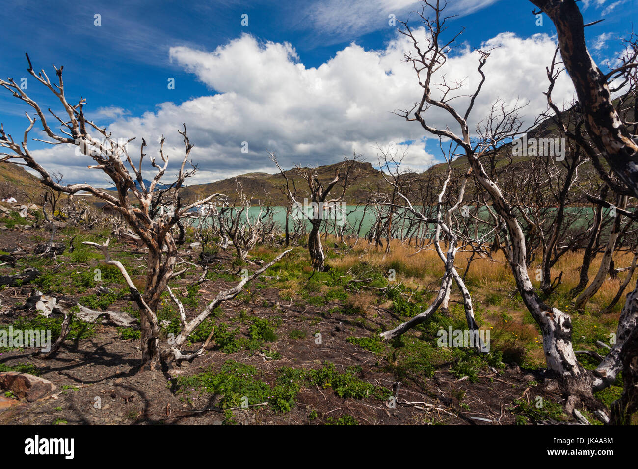 Chile, Magallanes Region, Torres del Paine National Park, Mirador ...
