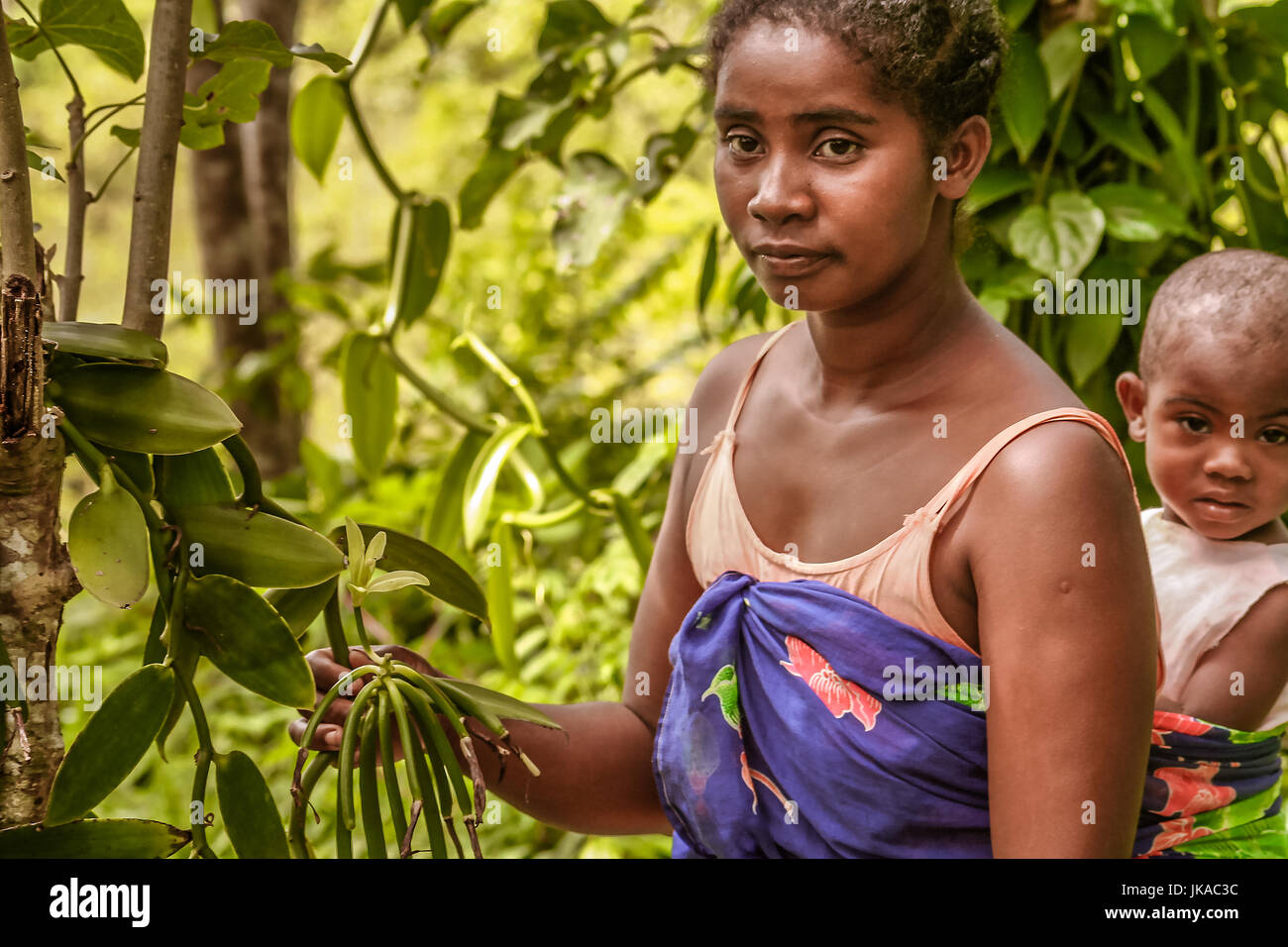 Sambava, Madagascar, january 13, 2017: A malagasy farmer and his son in ...