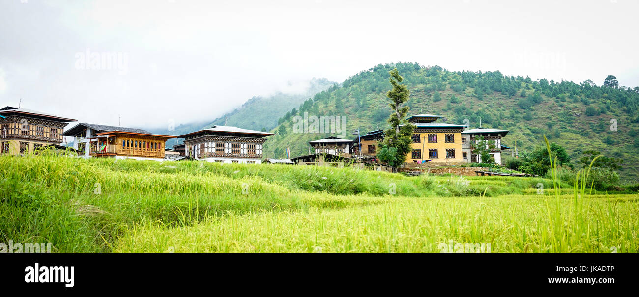 Terraced farmland with paddy field at the Sopsokha village, Bhutan ...