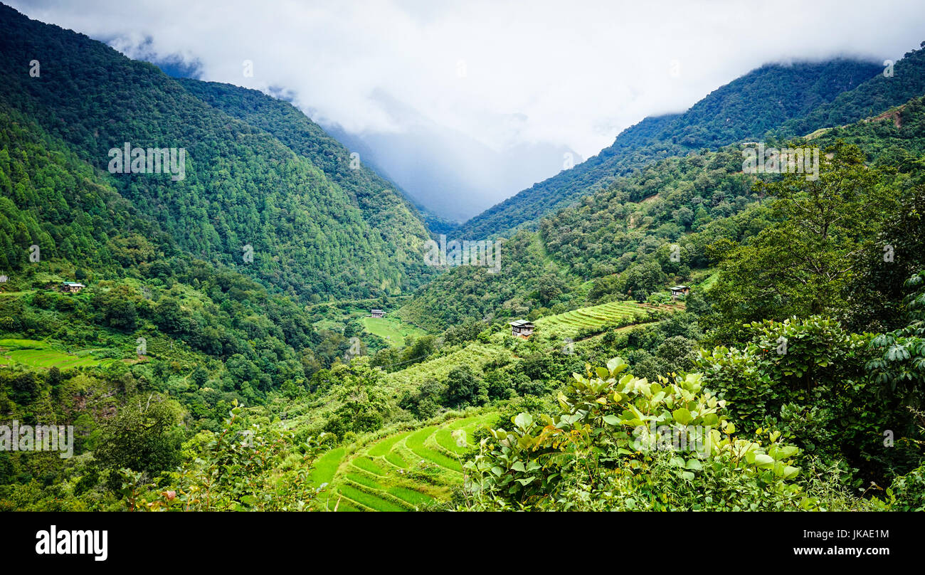 Mountain scenery with terraced rice field in Kingdoom of Bhutan. Bhutan ...