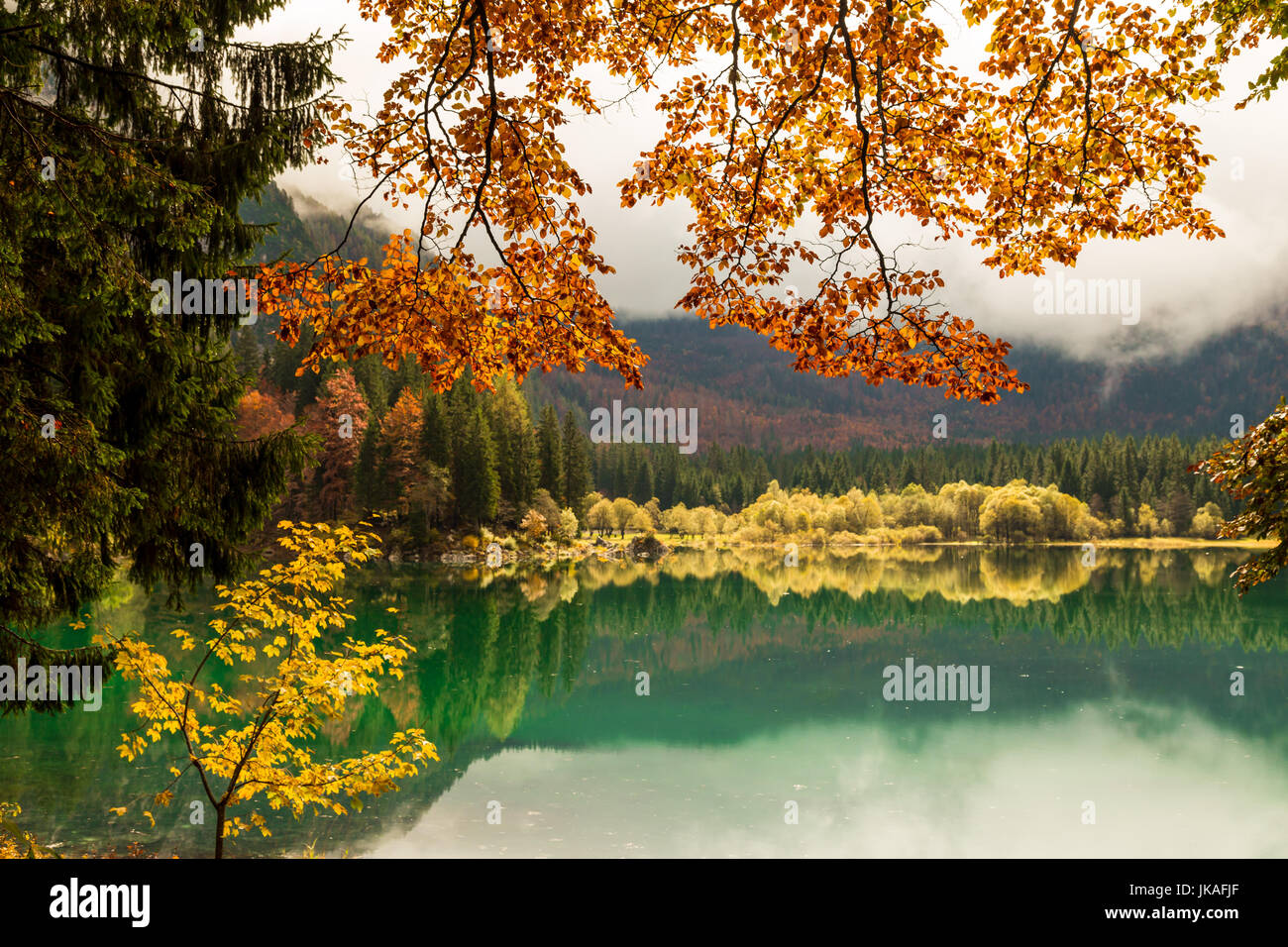 Fall in the italian alps in a misty day Stock Photo - Alamy