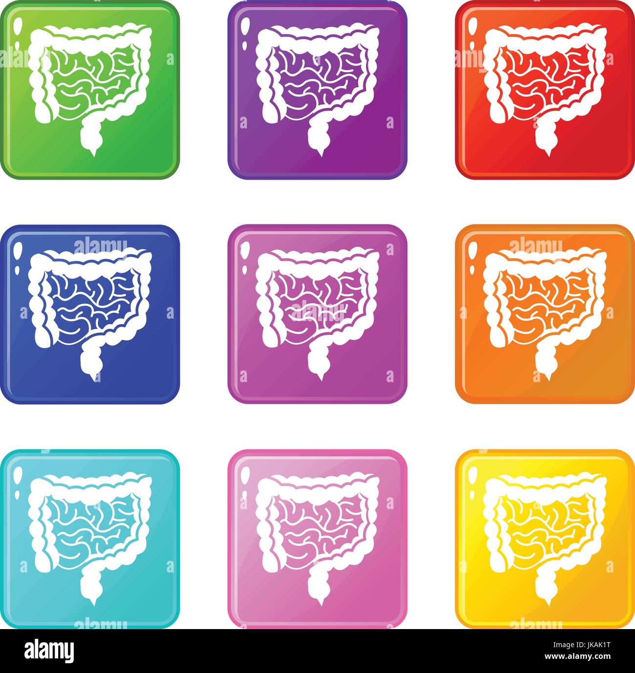 Intestines set 9 Stock Vector Image & Art - Alamy