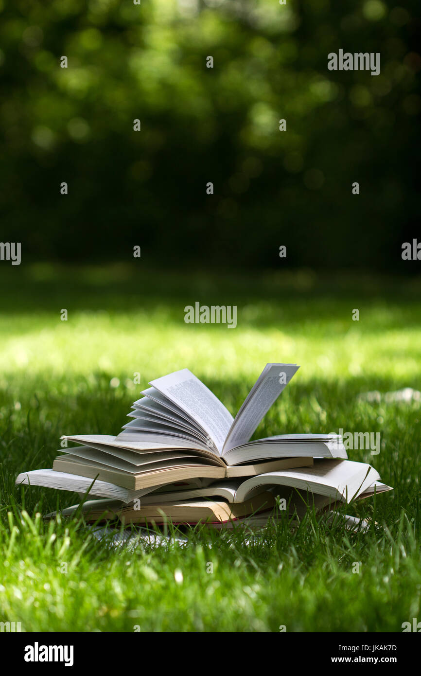 vertical side view of many open books on top of each other standing on ...