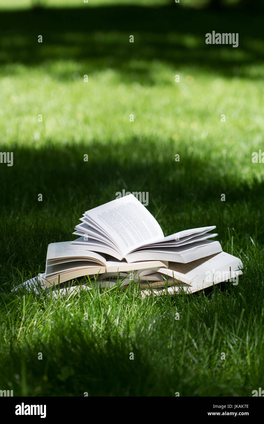 vertical side view of many open books on top of each other standing on ...