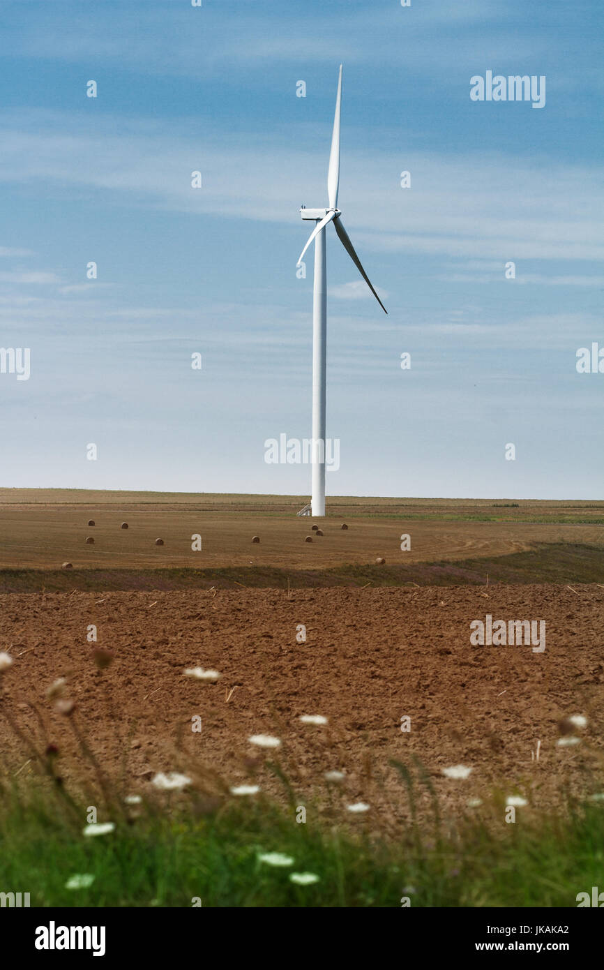 vertical front view of one white eolian wind turbine in a cultivated ...