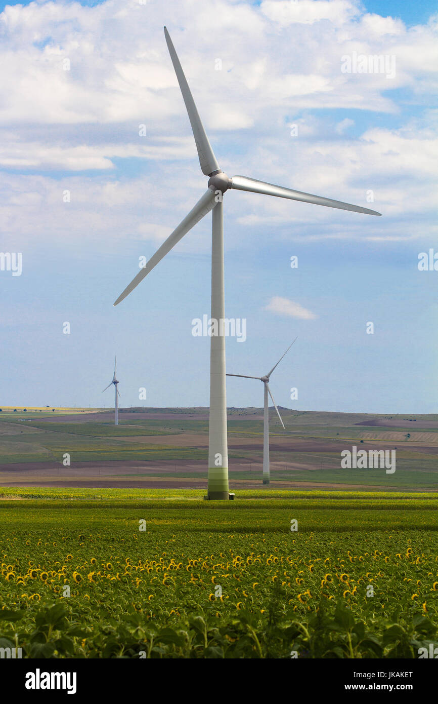vertical front view of one white eolian wind turbine in a cultivated ...