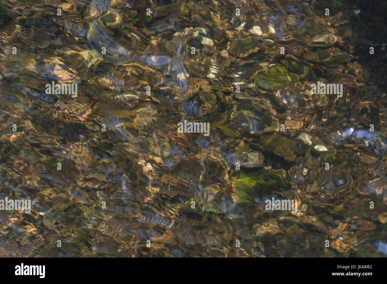 Underwater soil hi-res stock photography and images - Alamy
