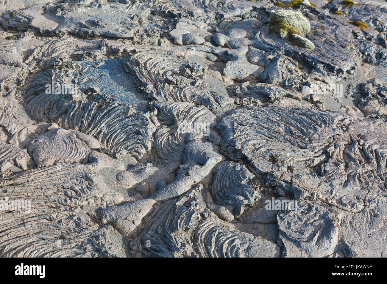Solidified lave flow on the coastal plain of southern Iceland Stock ...