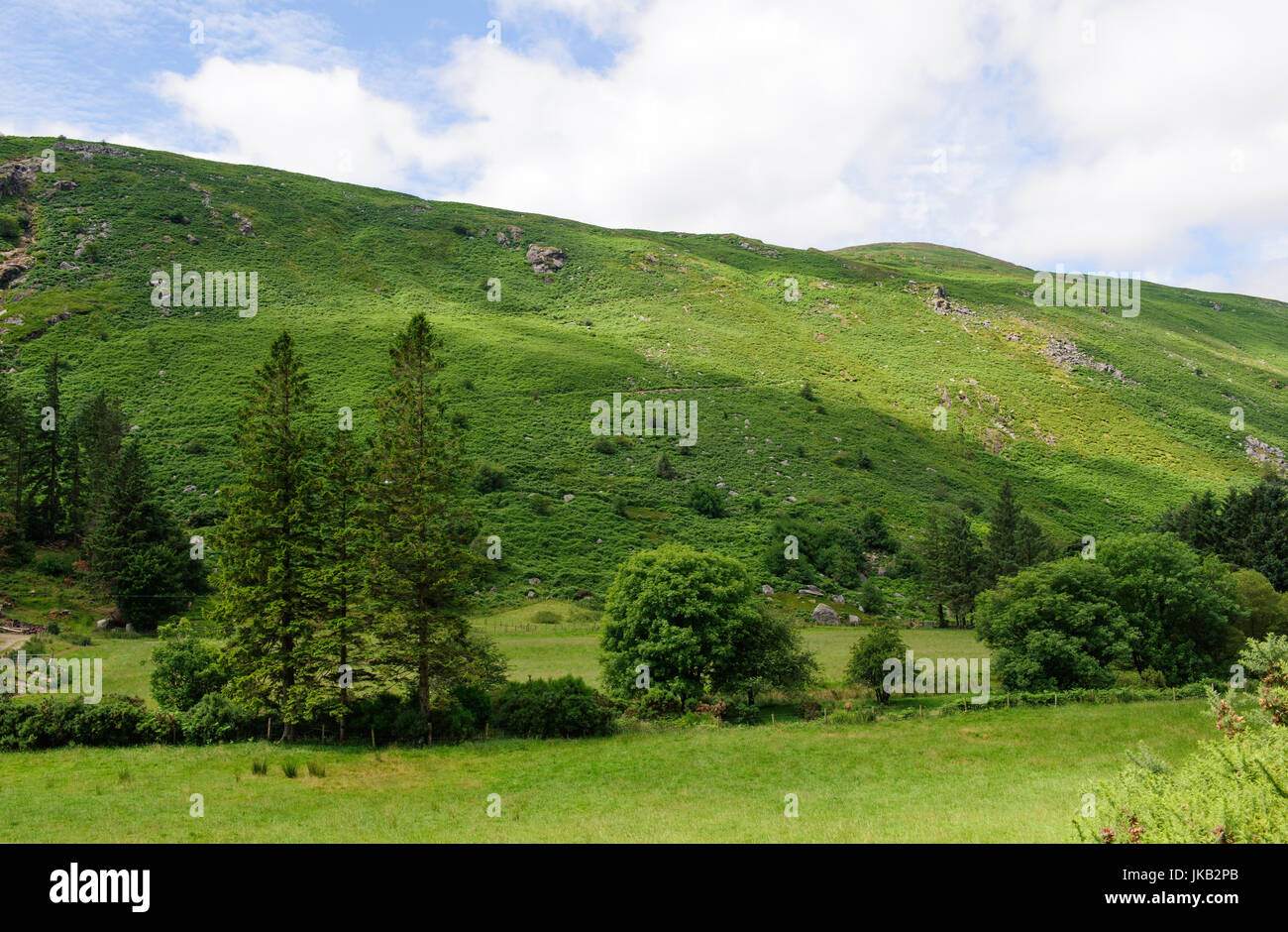 Beautiful view on Glenmalure valley on summer day Stock Photo - Alamy