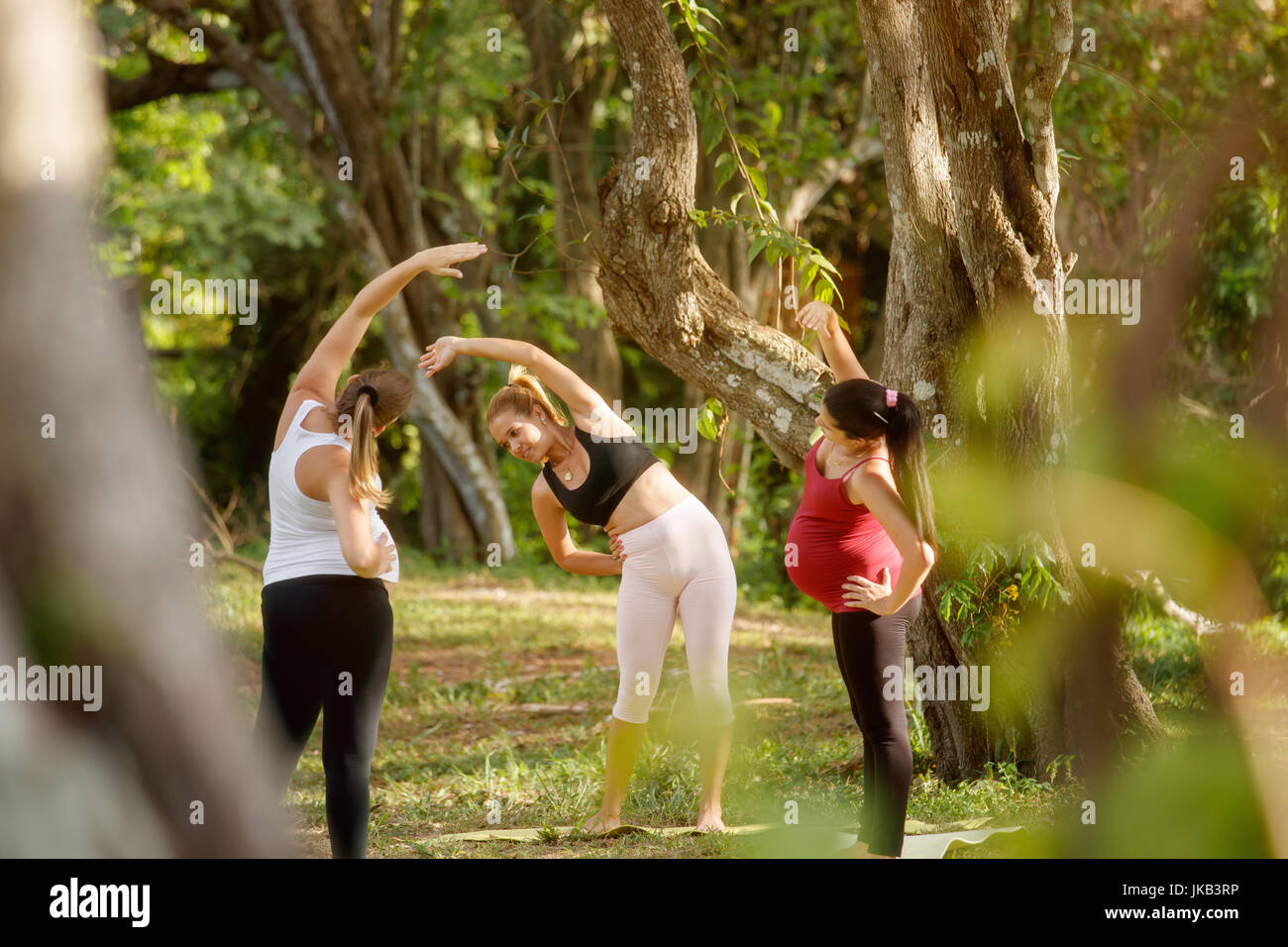 Pregnant women, group of moms training with fitness exercises and yoga ...