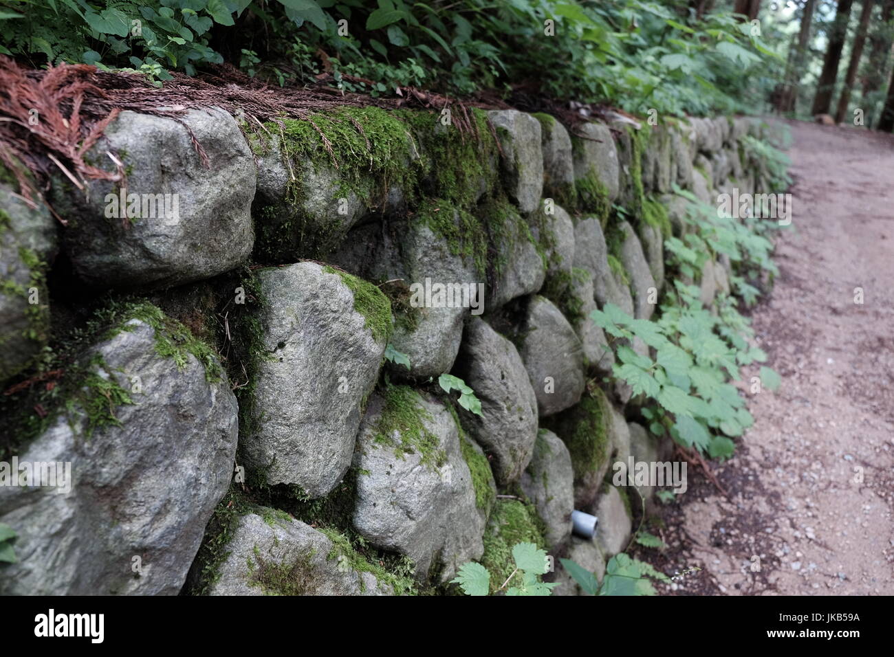 A stone retaining wall in a forest Stock Photo - Alamy
