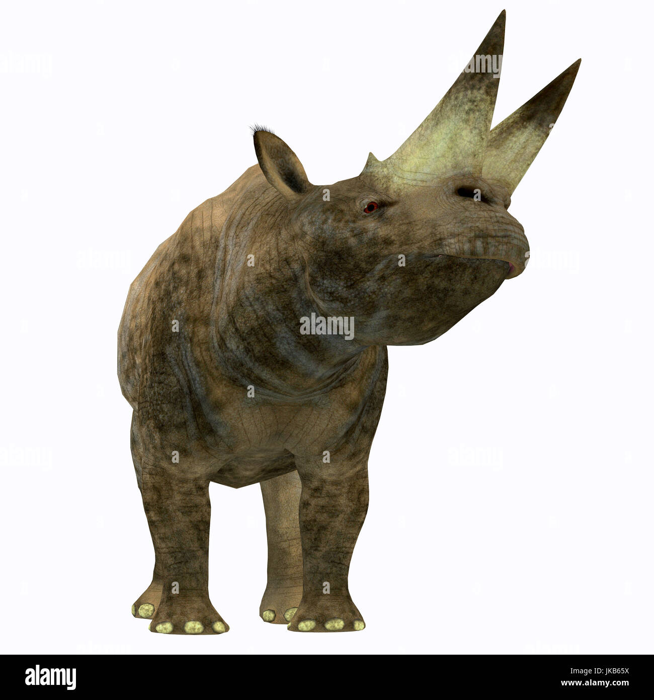 Arsinoitherium was a herbivorous rhinoceros-like mammal that lived in ...