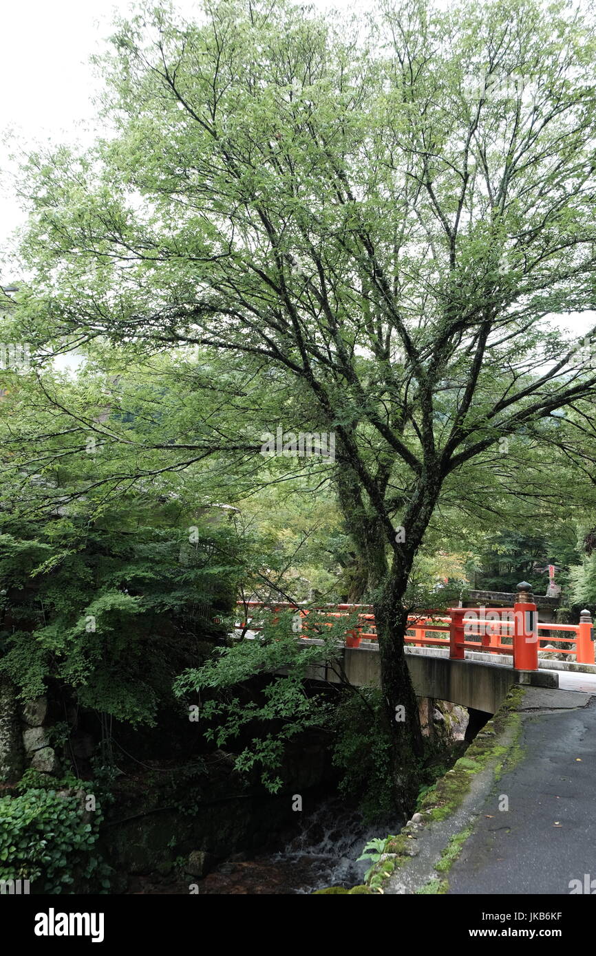 Serenity tree hi-res stock photography and images - Alamy