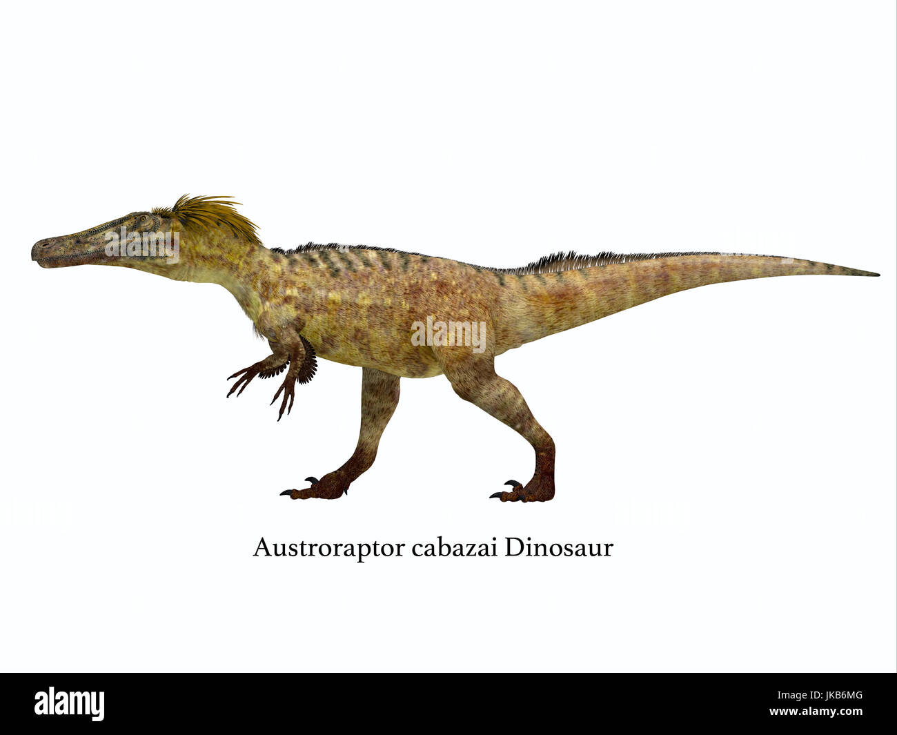 Dinosaur King Allosaurus Atrox