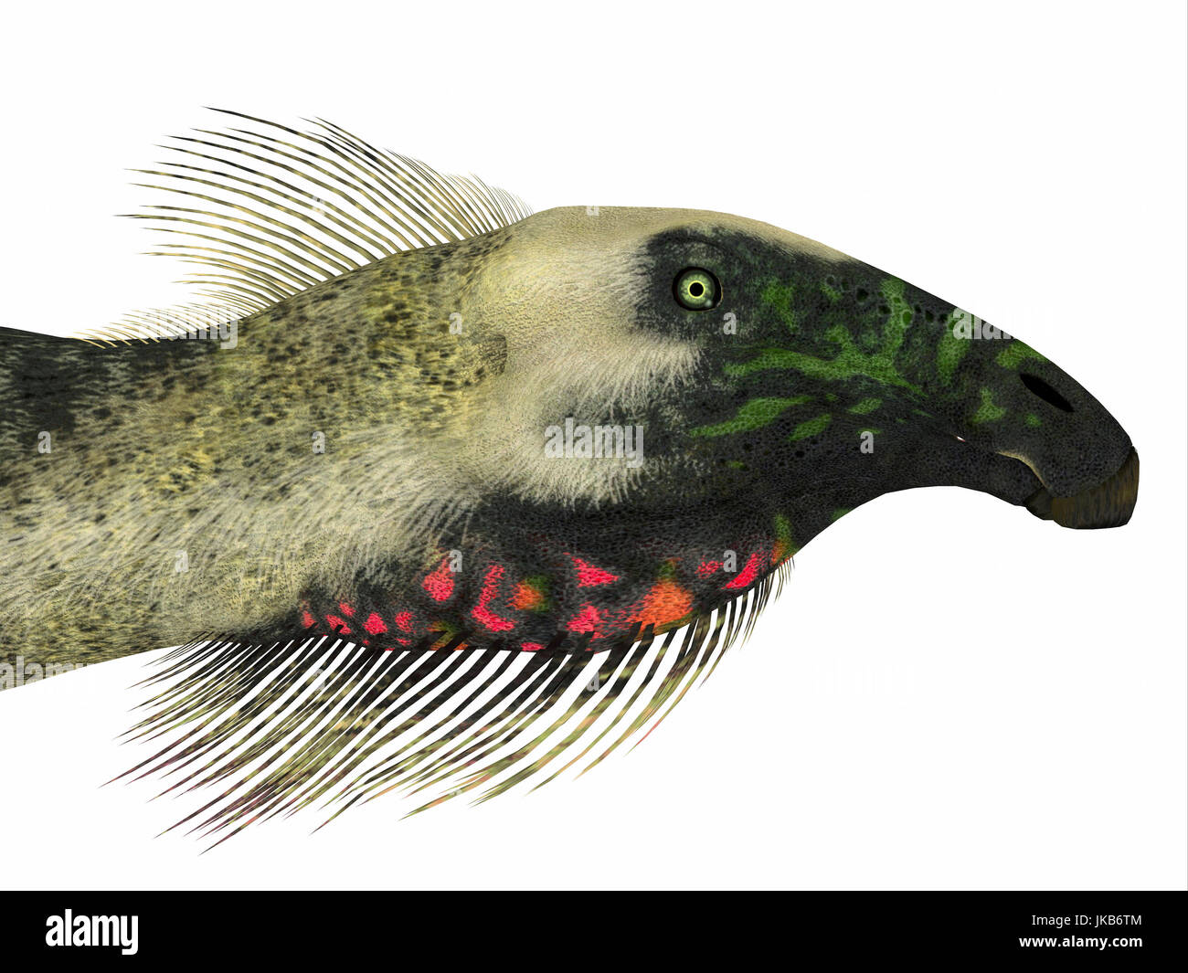 Beipiaosaurus was a herbivorous theropod dinosaur that lived in China ...