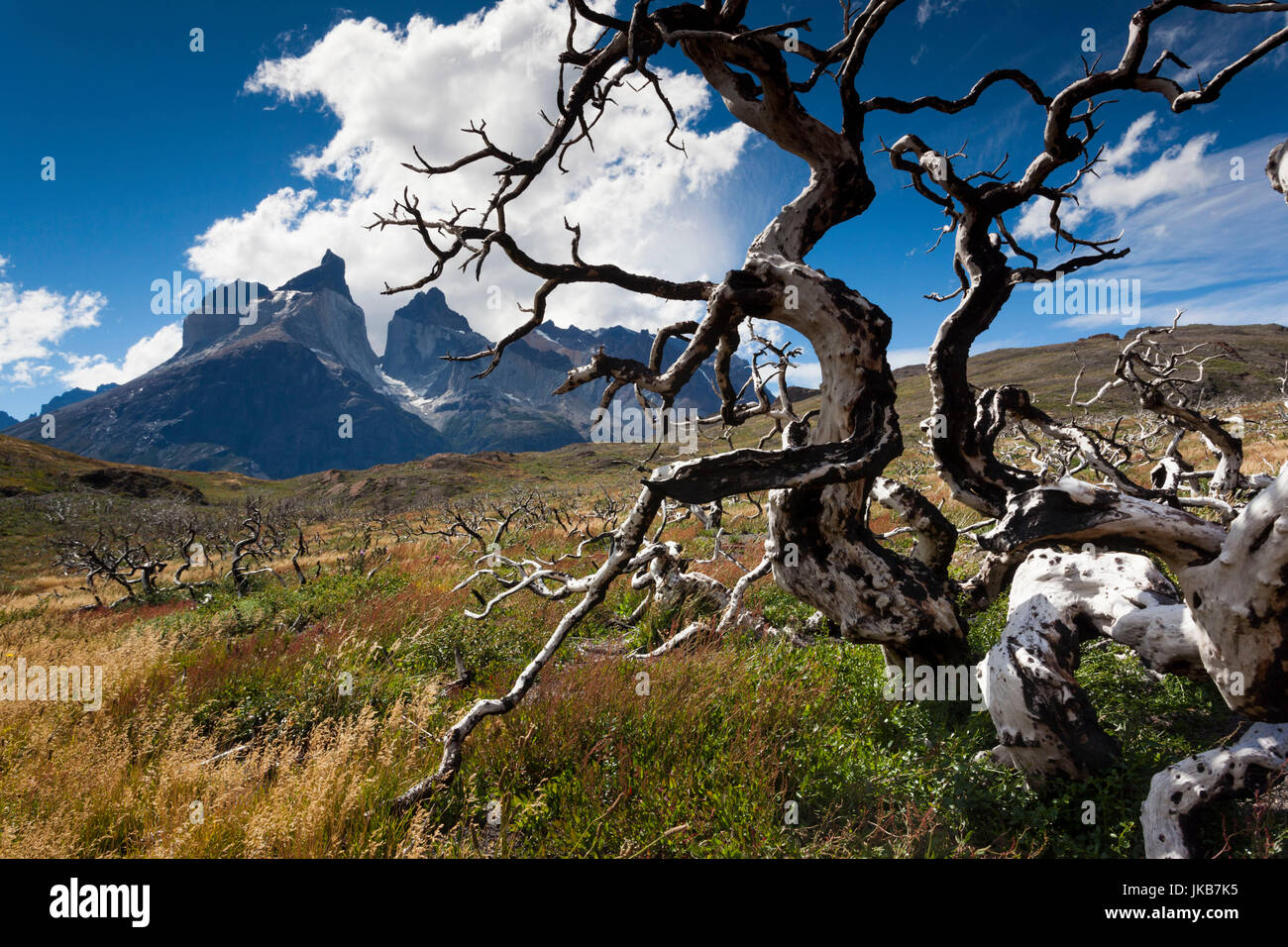 Chile, Magallanes Region, Torres del Paine National Park, Mirador ...