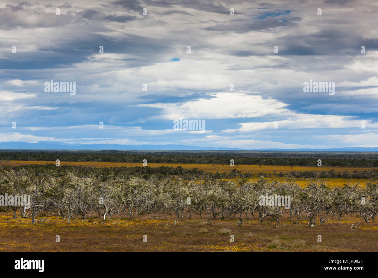 Chile, Magallanes Region, Ruta 9 highway, Patagonian landscape Stock ...