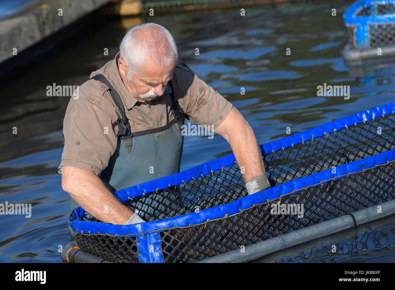 Cleaning the nile hi-res stock photography and images - Alamy