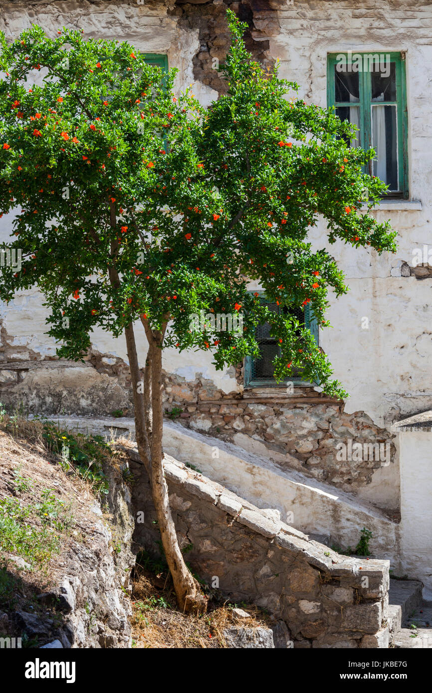 Ottoman era house and flowering tree hi-res stock photography and ...