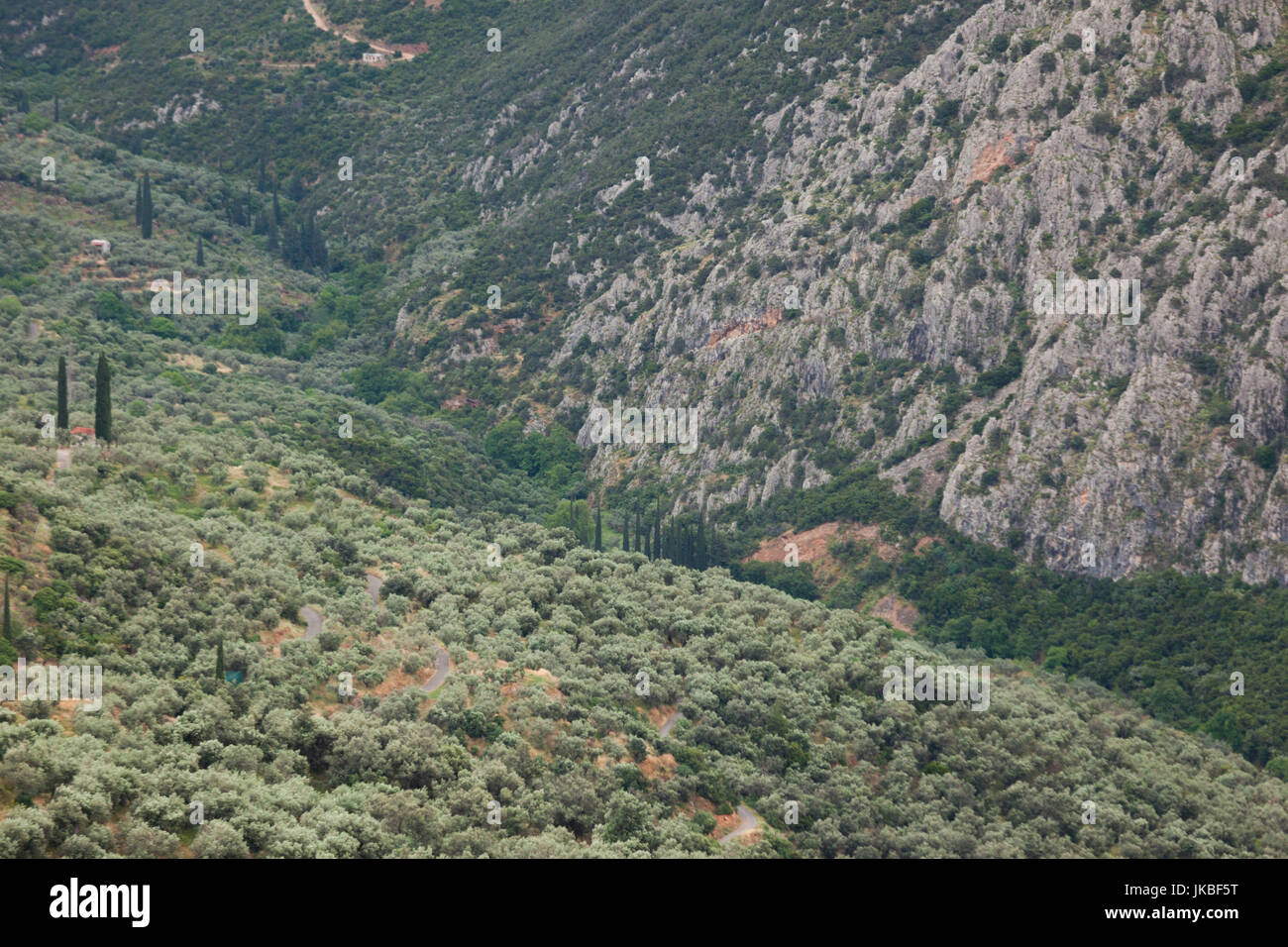 Greece, Central Greece Region, Delphi, landscape above Delphi Valley ...