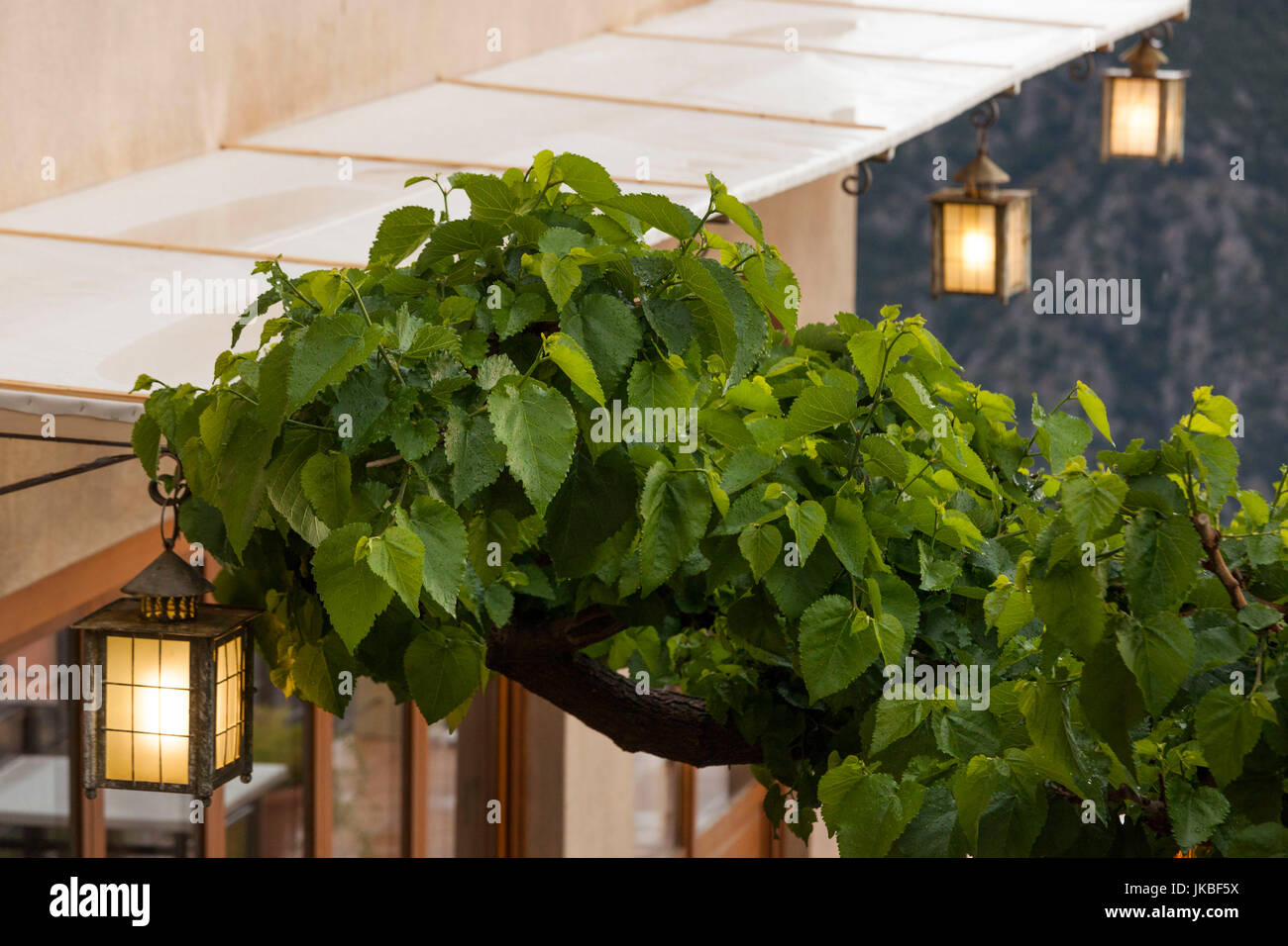 Delphi cafe hi-res stock photography and images - Alamy