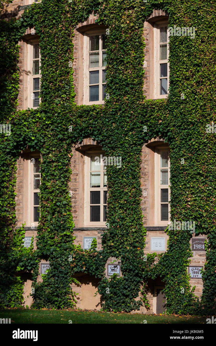 Ivy Covered Building Ivy Covered University Building Hi Res Stock