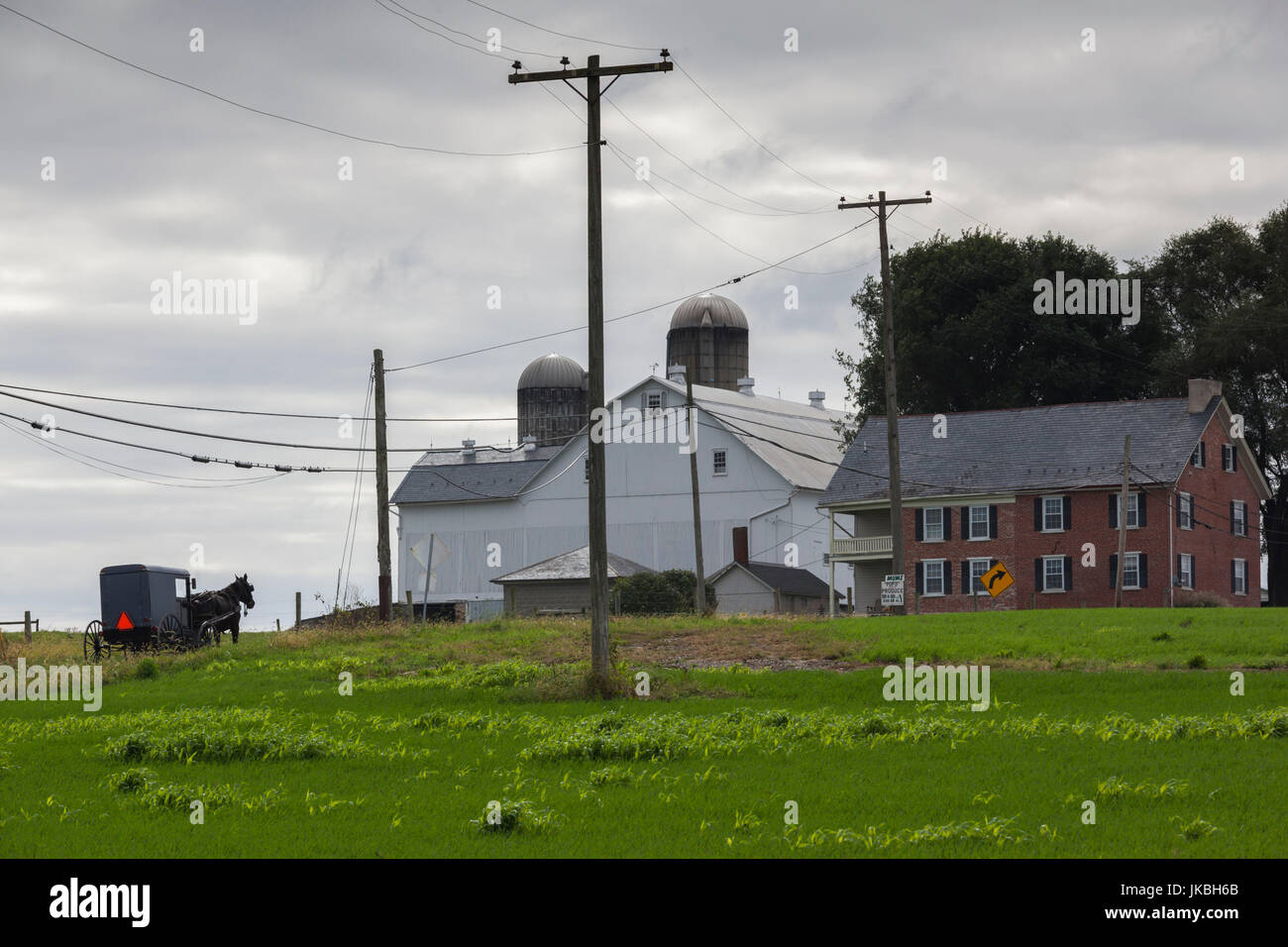 USA, Pennsylvania, Pennsylvania Dutch Country, Paradise, Amish horse ...