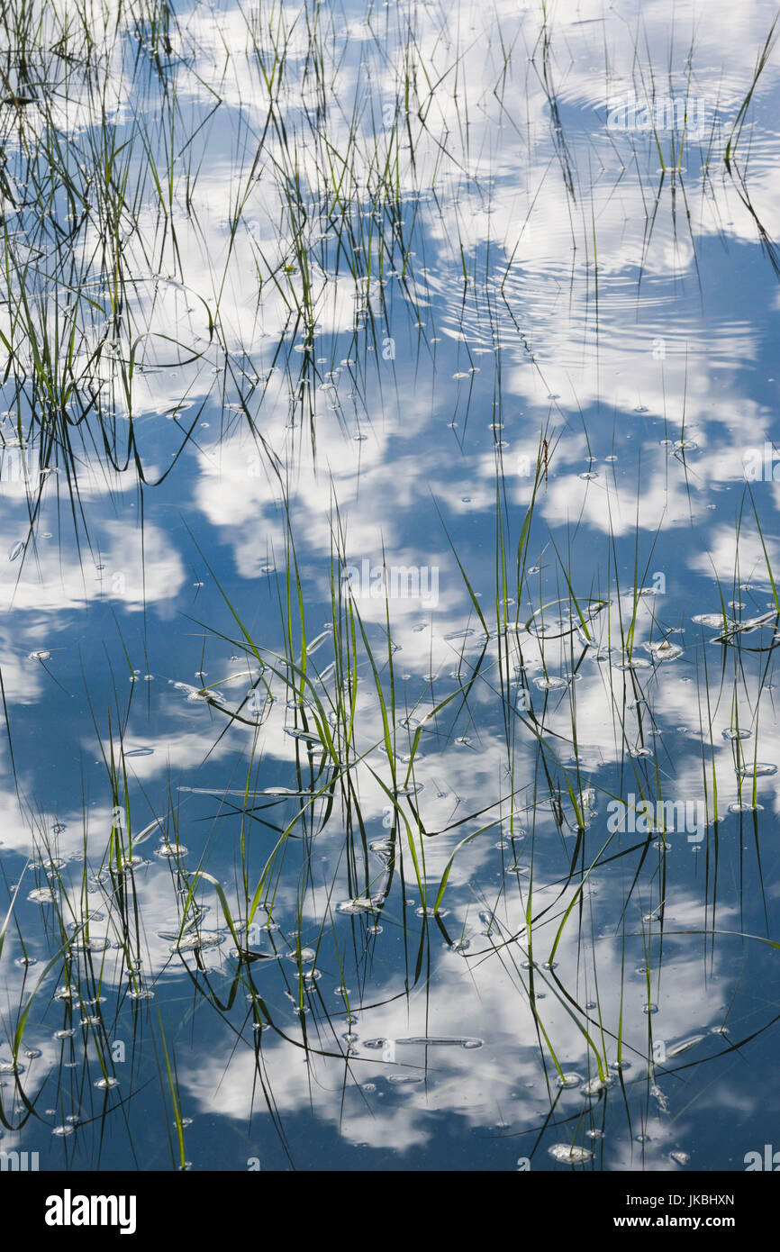 USA, Massachusetts, Cape Cod, Wellfleet, Duck Creek reflection Stock ...