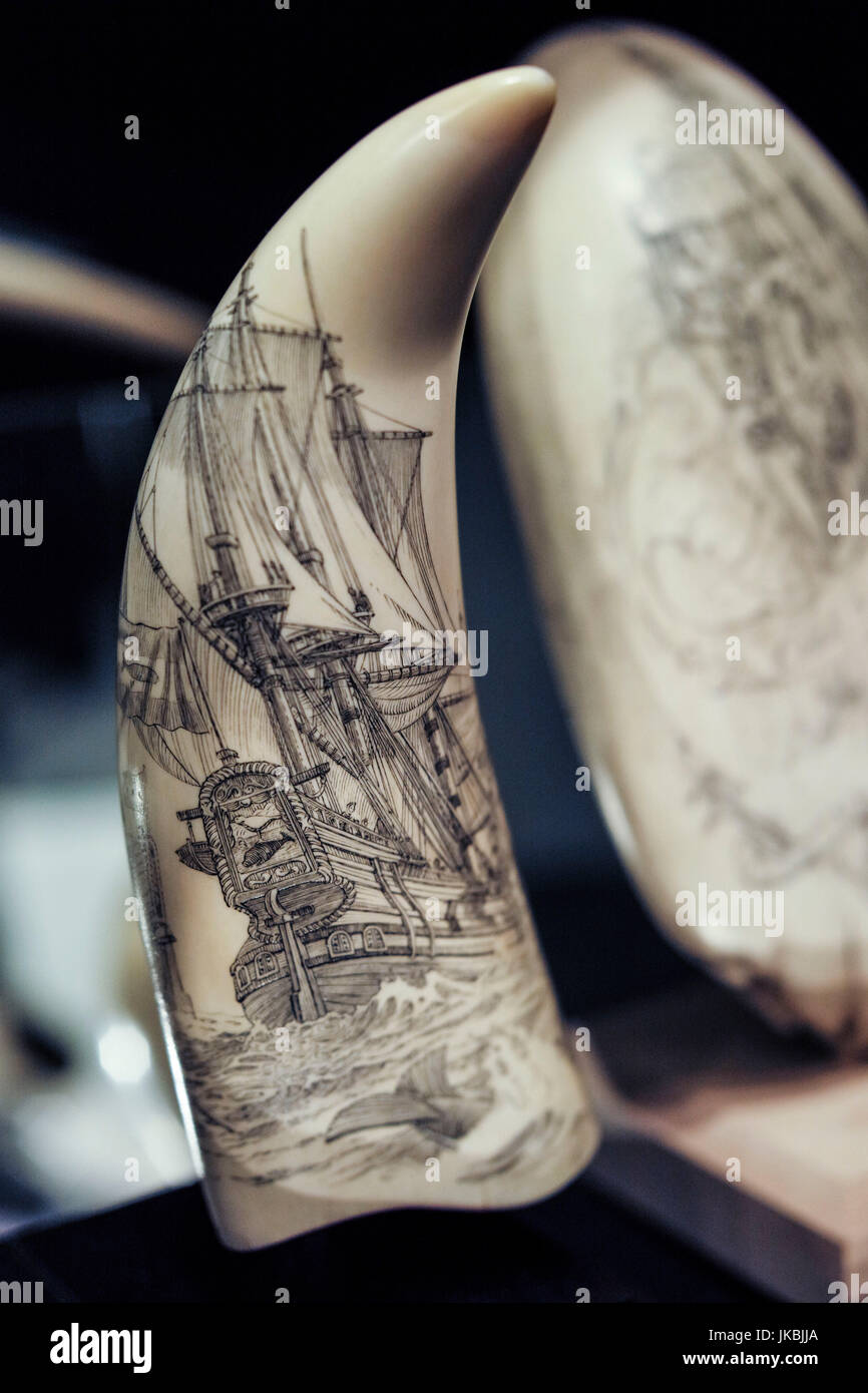 Scrimshaw whale hi-res stock photography and images - Alamy