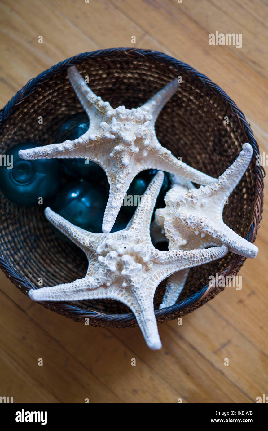 Dried starfish hi-res stock photography and images - Alamy
