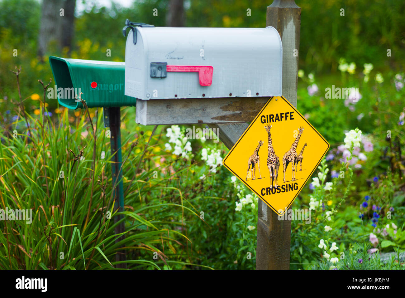 Mailbox and giraffe crossing sign hi-res stock photography and images ...