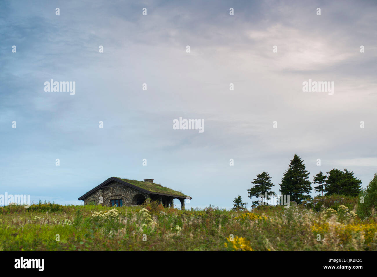 Beech hill hi-res stock photography and images - Alamy