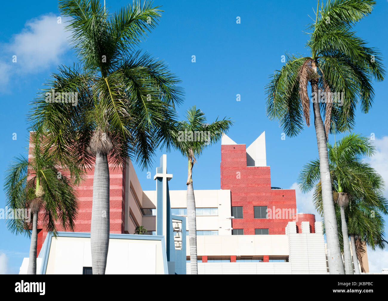 Palm trees surounding the roof of modern church in Miami downtown ...